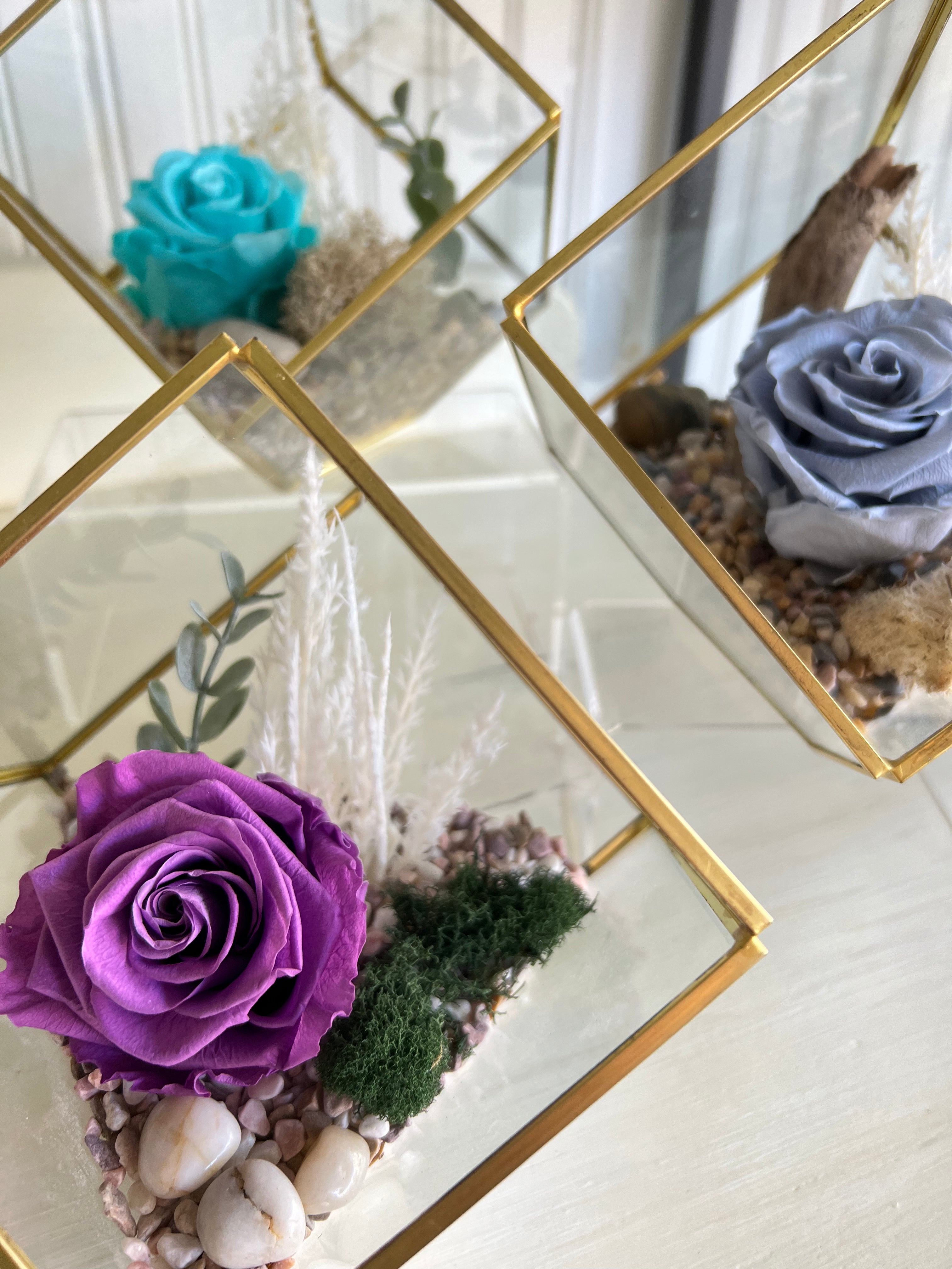 Terrarium de roses éternelles – De fleur en fille